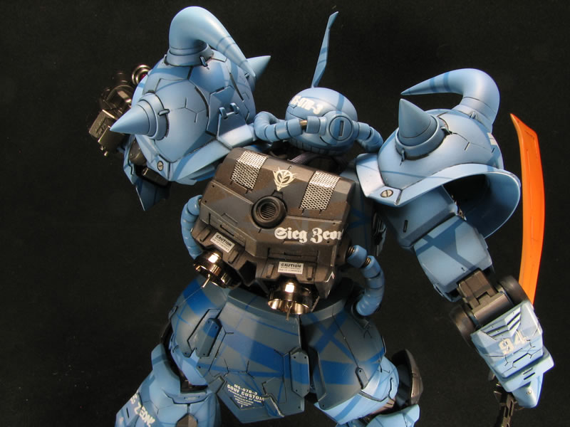 1/100 Gouf Custom Conversion